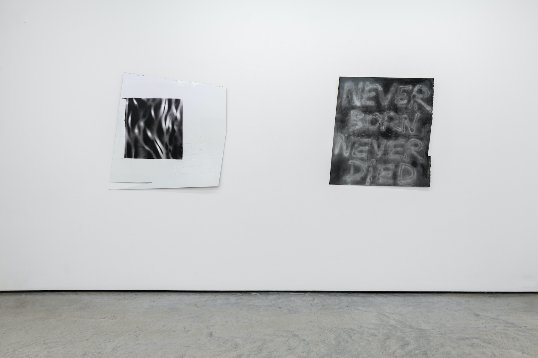 tegenboschvanvreden | PRIMAL / SHAPE